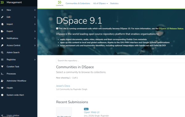 Install DSpace 9.1 on Ubuntu 24.04 LTS